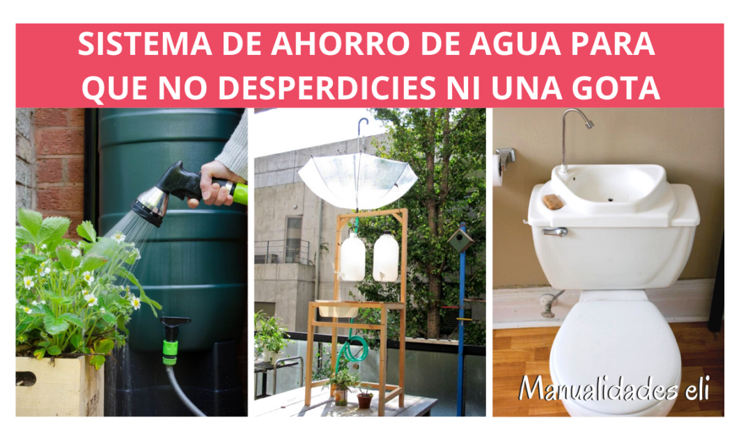 ¡Reutiliza El Agua, No Desperdicies Ni Una Gota! | Manualidades eli
