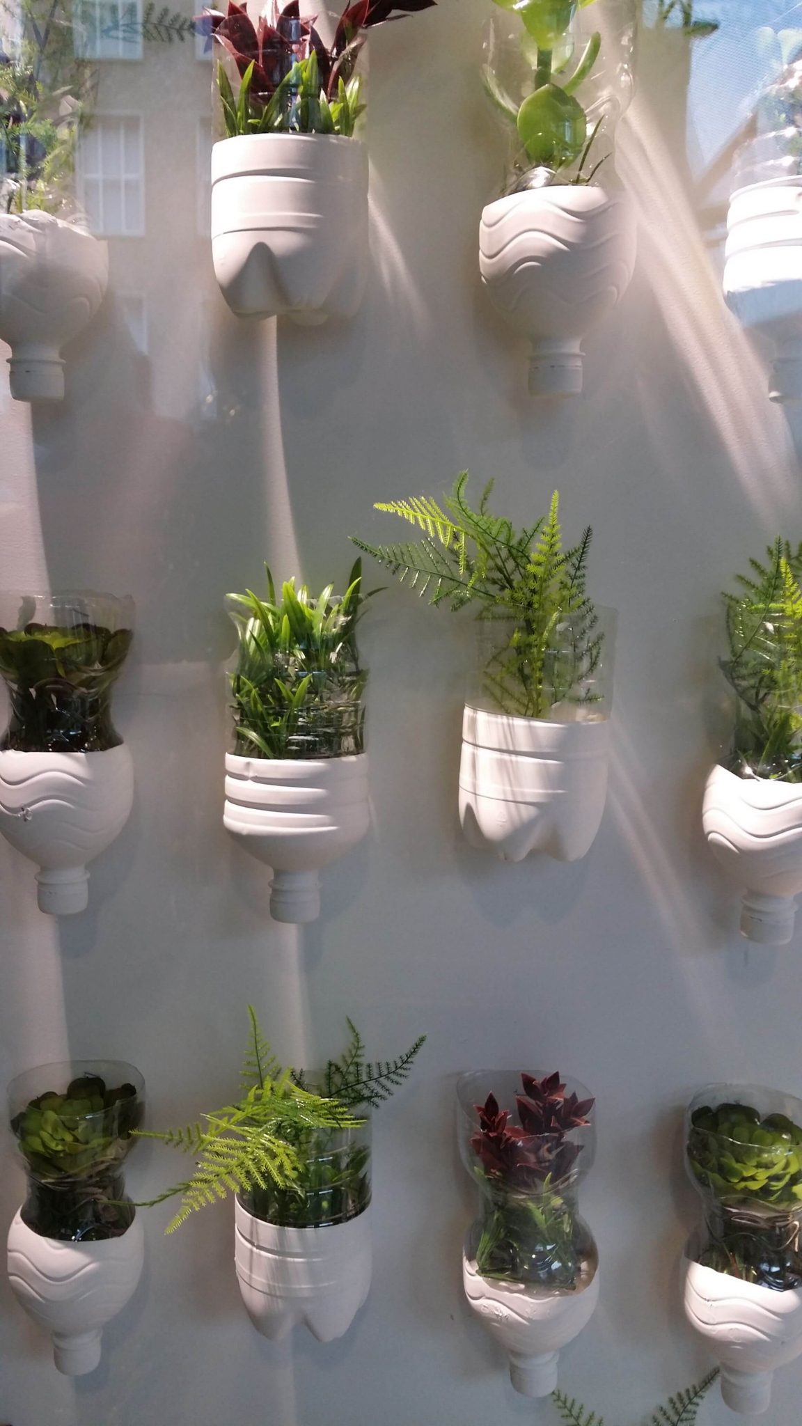 15 Maceteros Hechos Con Frascos De Botellas Plásticas Desechables