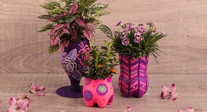 15 Maceteros Hechos Con Frascos De Botellas Plásticas Desechables