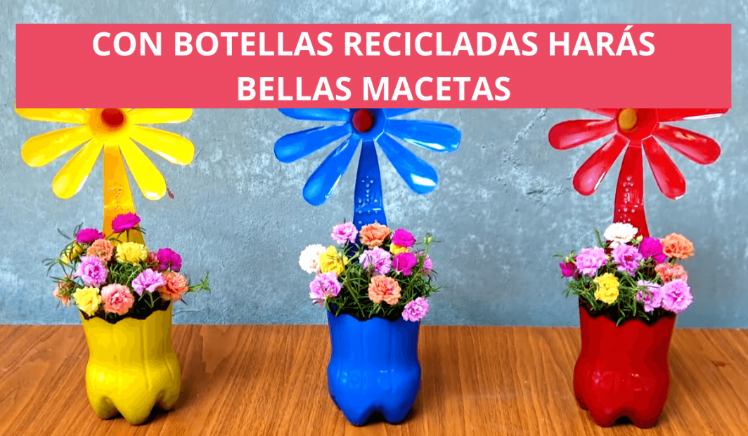 Recicla botellas de plástico y haz estas bellas macetas | Manualidades eli