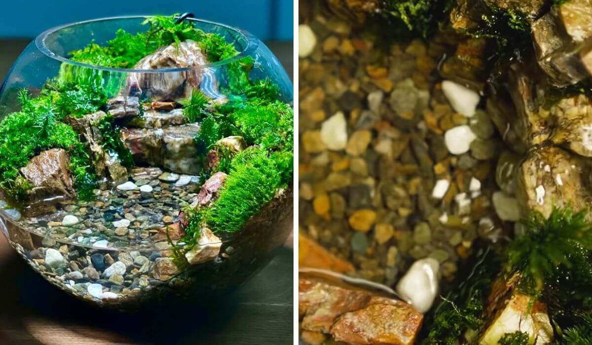 ¡WOW! Qué fácil es hacer un terrario con fuente de agua