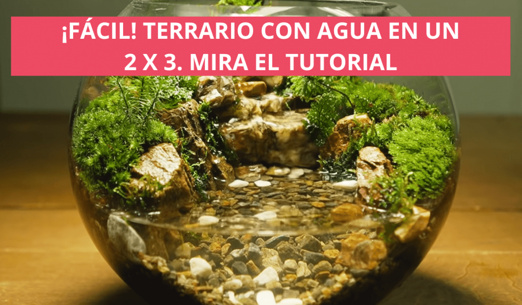¡wow Qué Fácil Es Hacer Un Terrario Con Fuente De Agua