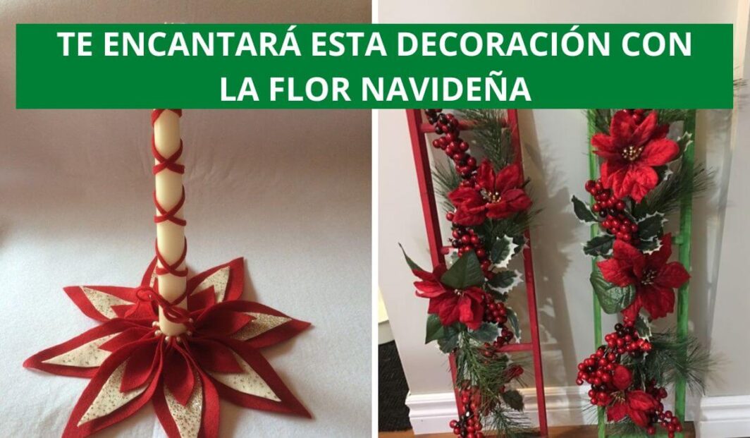 13 DECORACIONES NAVIDEÑAS QUE PUEDES HACER CON LA FLOR DE NAVIDAD ...
