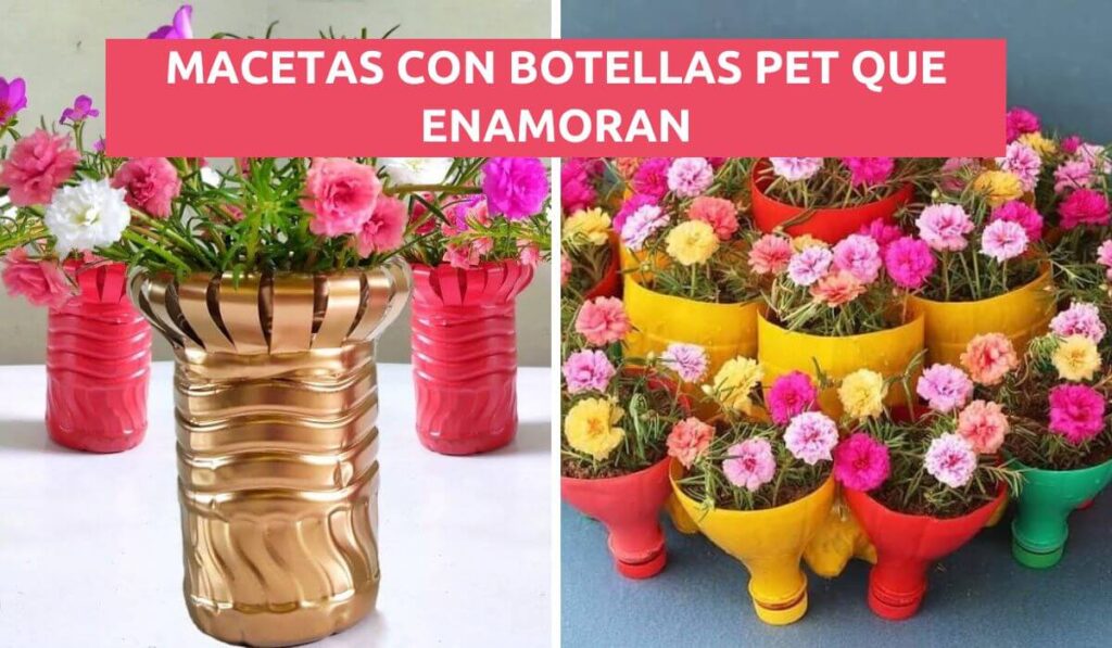 15 Ideas De Macetas Hechas Con Botellas PET Que Enamoran