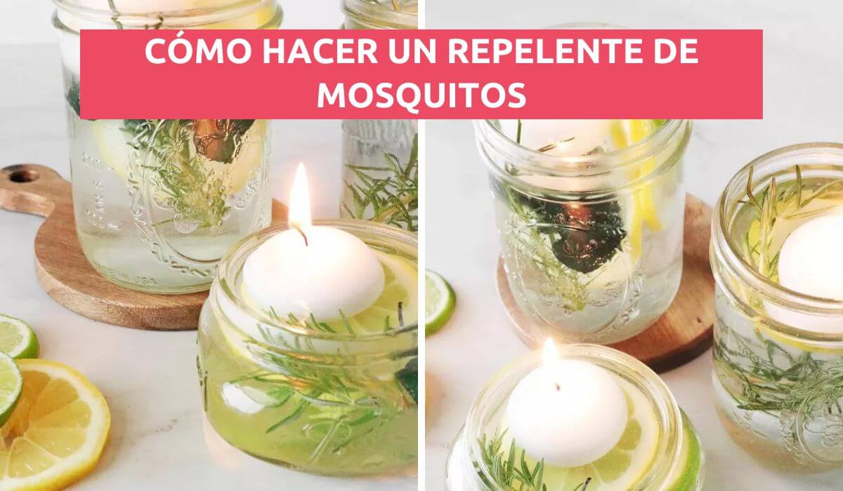 REPELENTE DE MOSQUITOS CASERO HECHOS CON FRASCOS DE VIDRIO RECICLADOS ...