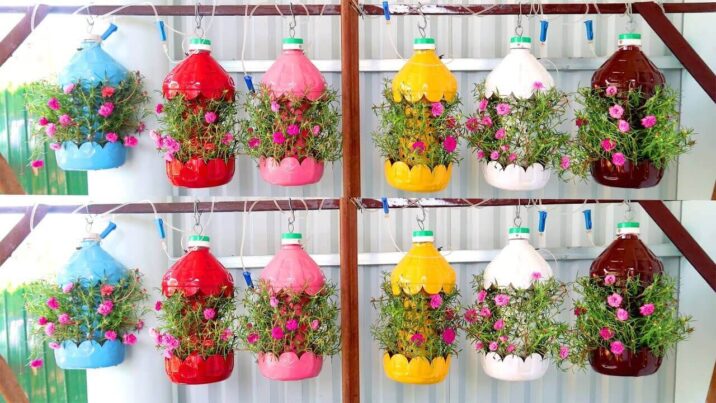 15 Ideas De Macetas Hechas Con Botellas PET Que Enamoran