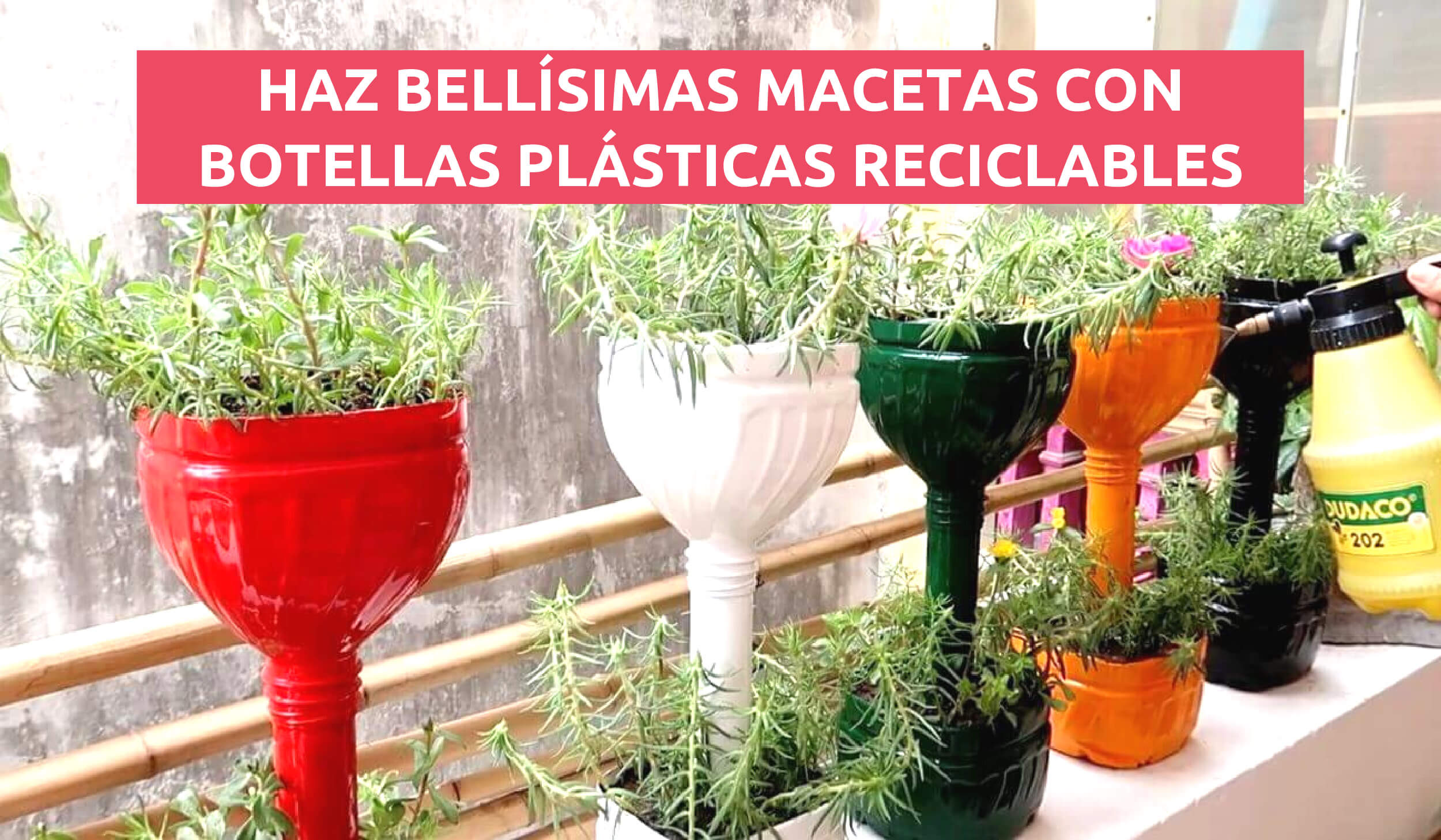 UTILIZA BOTELLAS PLÁSTICAS RECICLABLES Y HAZ BELLÍSIMAS MACETAS PARA ...