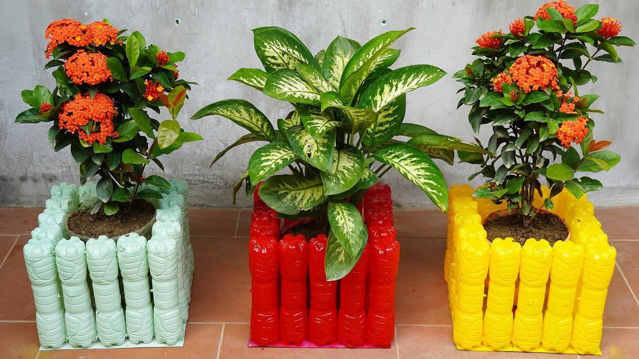 ¡Te Caerás Para Atrás! Mira Estas Macetas Hechas Con Botellas De ...