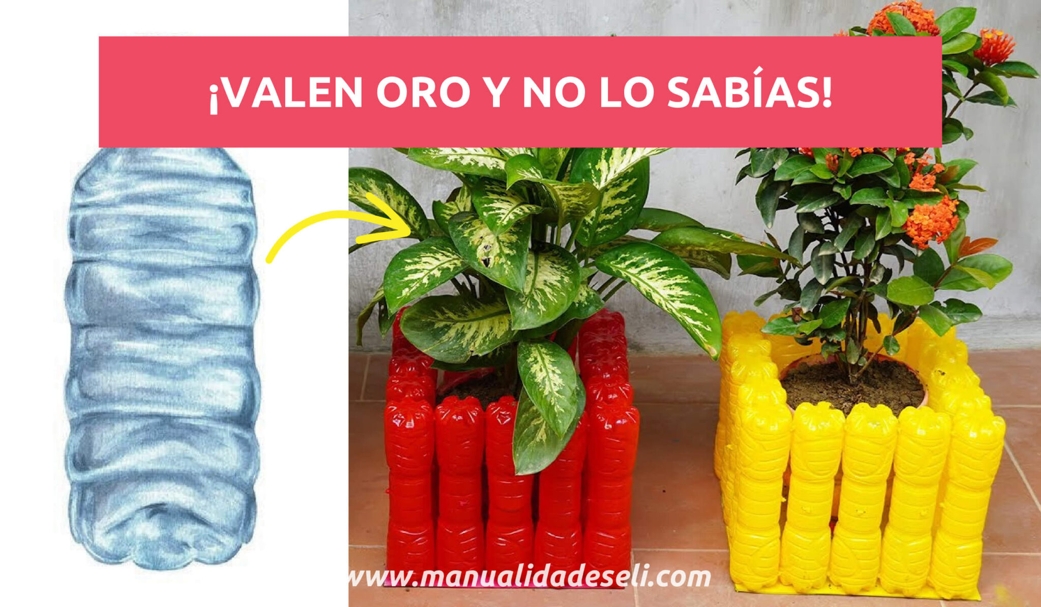 ¡Te Caerás Para Atrás! Mira Estas Macetas Hechas Con Botellas De ...