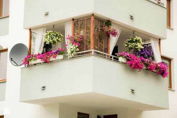 Renueva Tu Balcón Con Plantas. ¡Aquí Las Mejores Ideas! | Manualidades eli