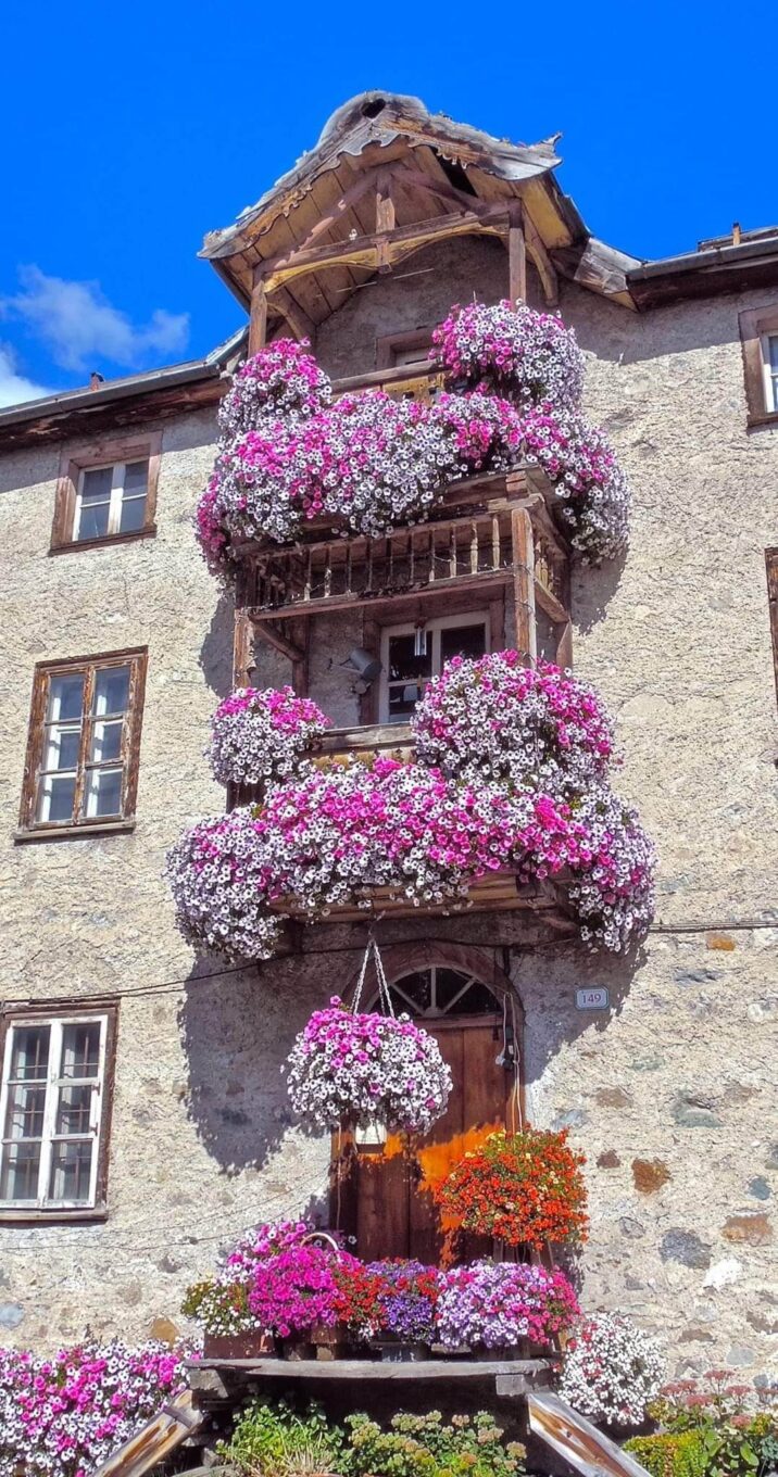 Renueva Tu Balcón Con Plantas. ¡Aquí Las Mejores Ideas! | Manualidades eli