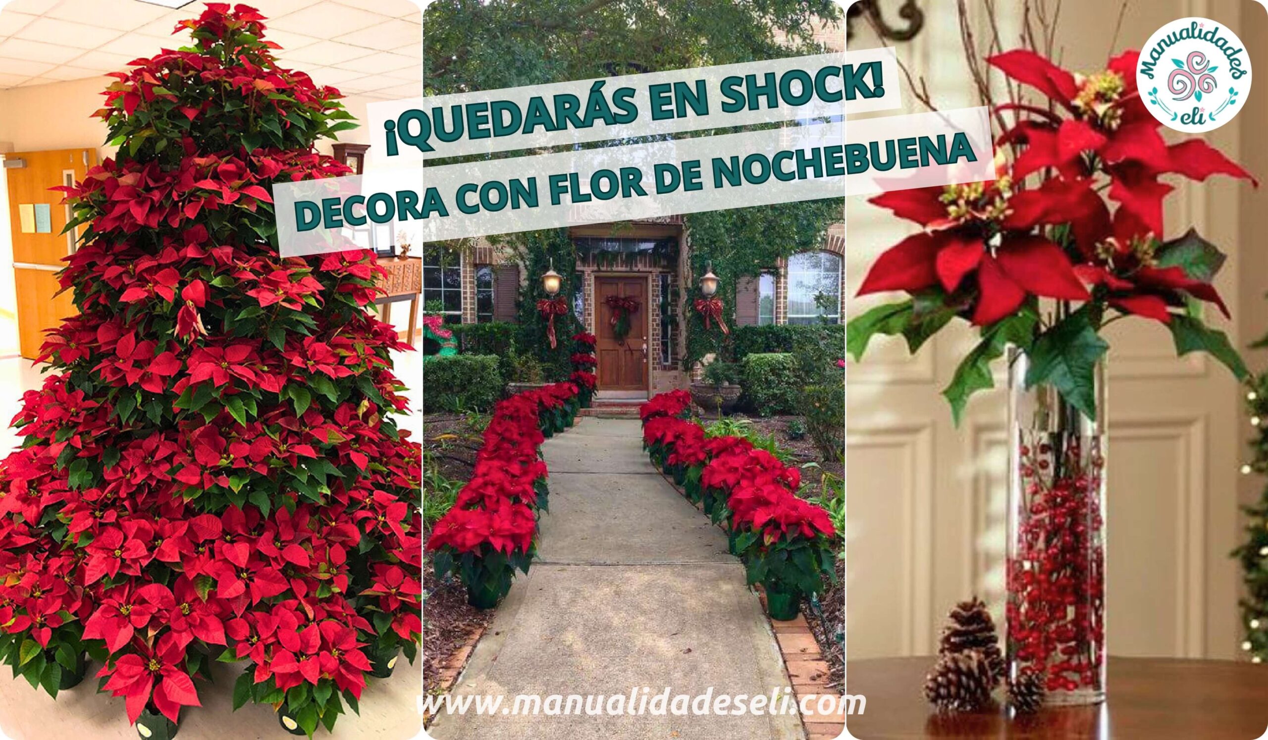 Ideas Para Decorar Con Flor De Nochebuena En Navidad | Manualidades eli
